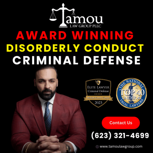 Day 174: 7 Things to Know about ARS §13-2904: Disorderly Conduct in ...